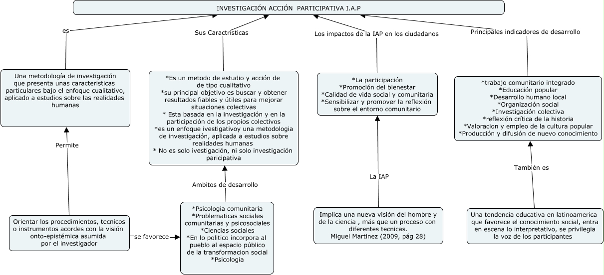 MAPA COCEPTUAL DE LA IAP